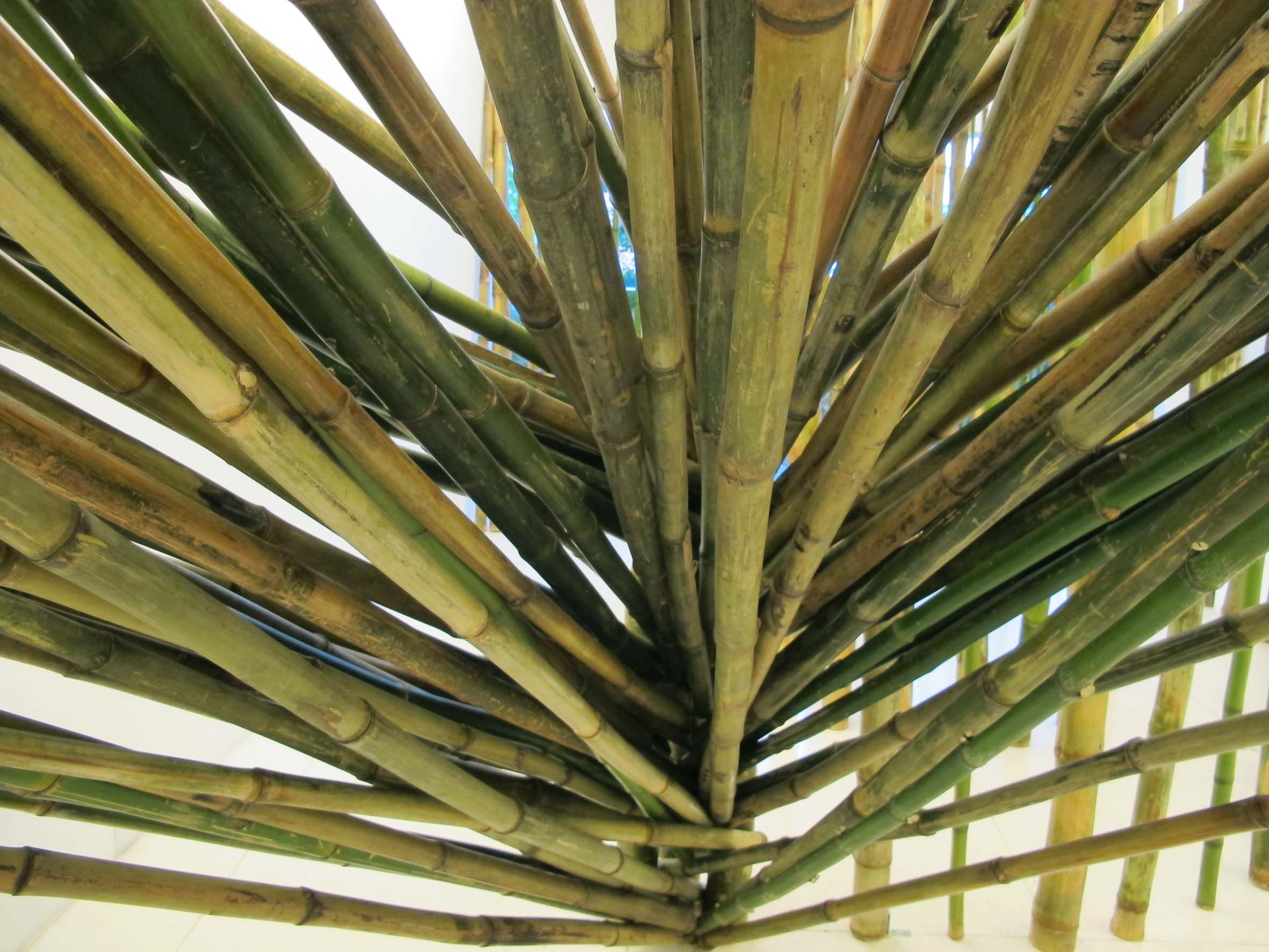 Bolsa de arte | O Paralelo